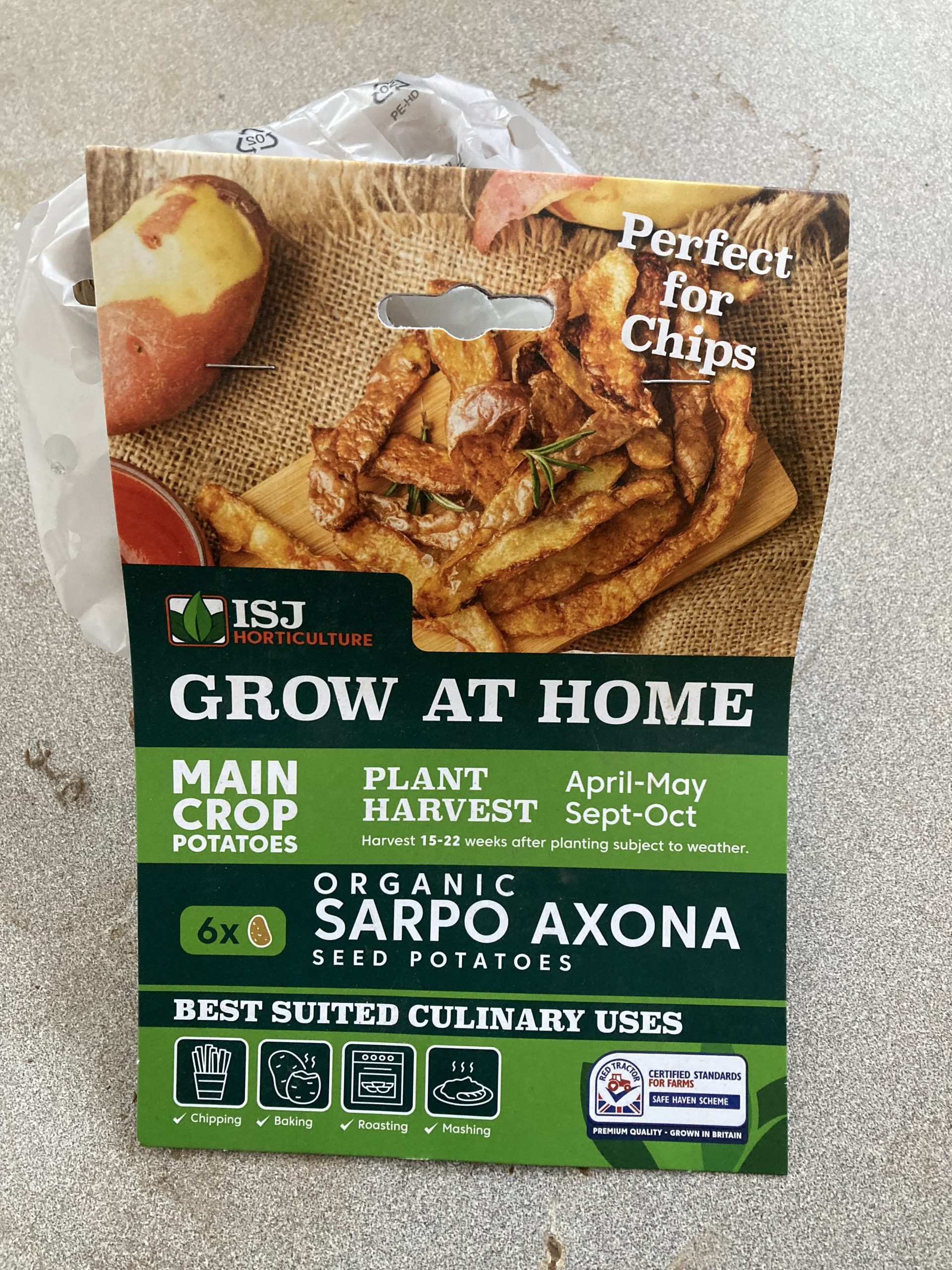 Maincrop SARPO AXONA New - Mammoth Onion