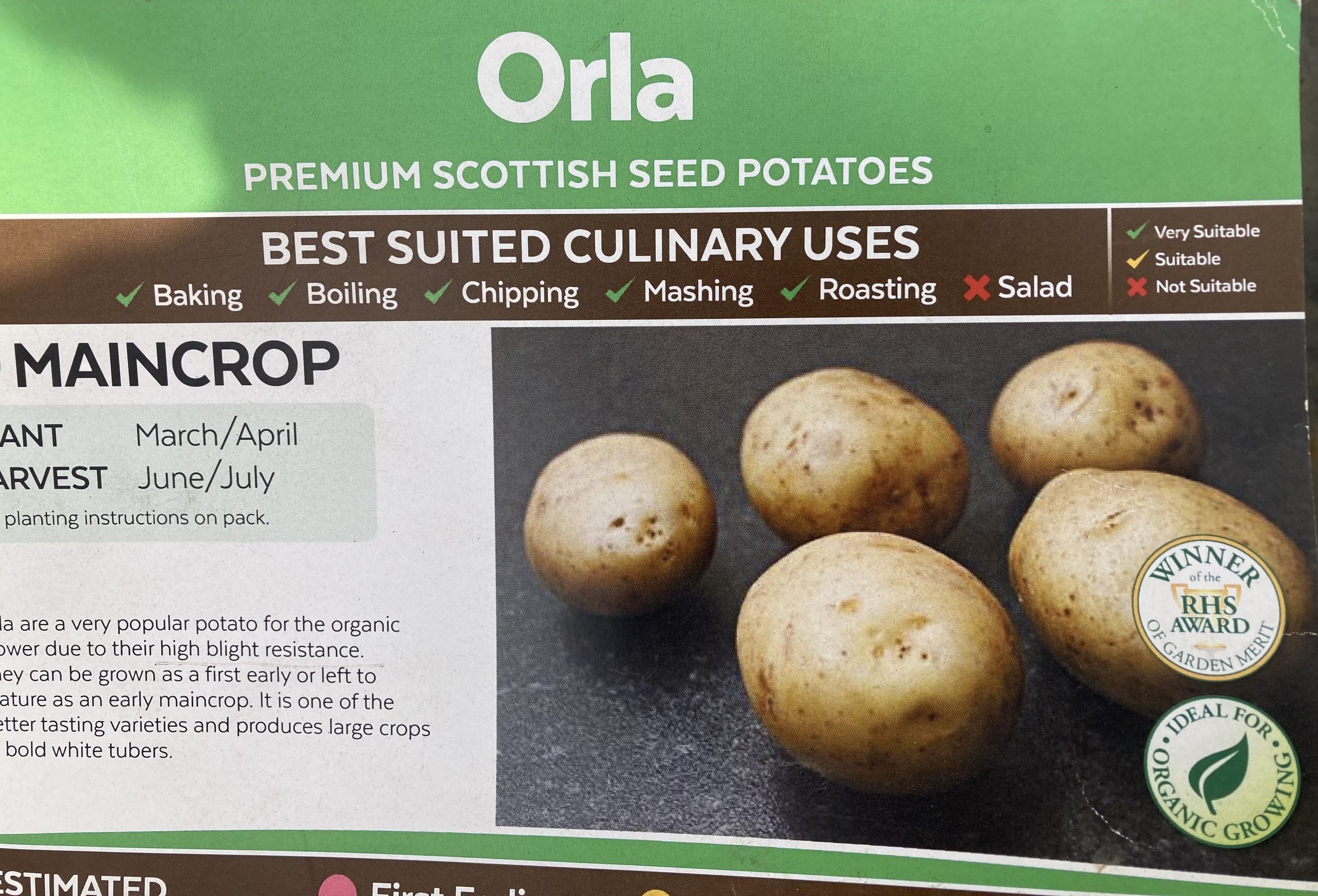 Maincrop ORLA Potato RHS AGM - Mammoth Onion